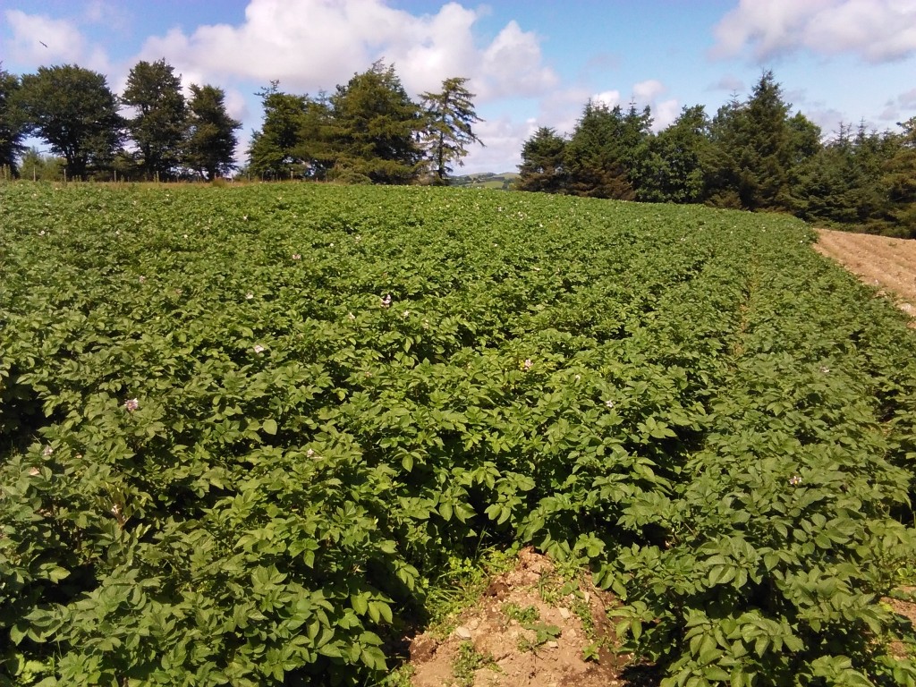 Fragile Food Systems - Sustainable Farming Consultancy